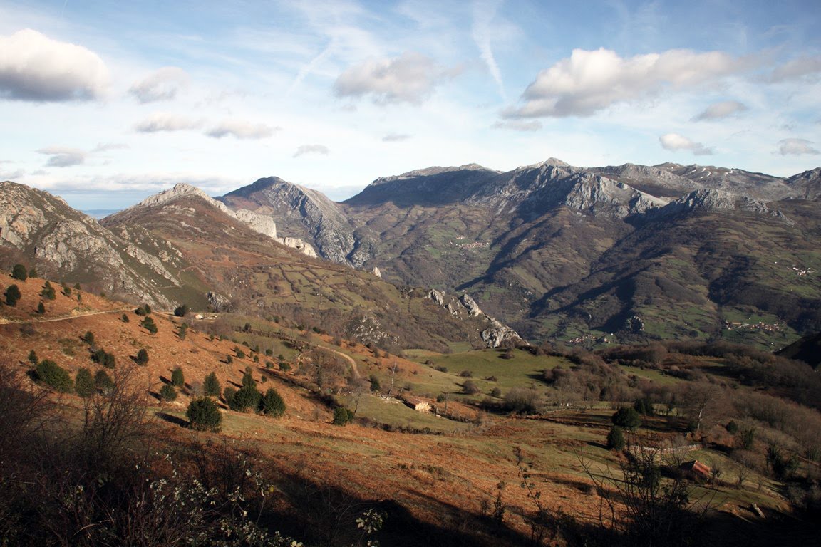 El rincón del entomólogo : Mortera de Felgueres