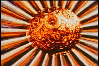 Cinema 4: Cel Bloc: Greedy Humpty Dumpty (1936)