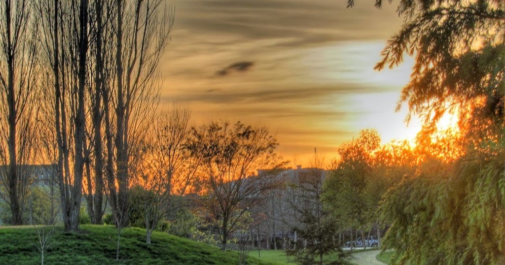 Pozadine za desktop - Priroda: Šuma u ranu jesen