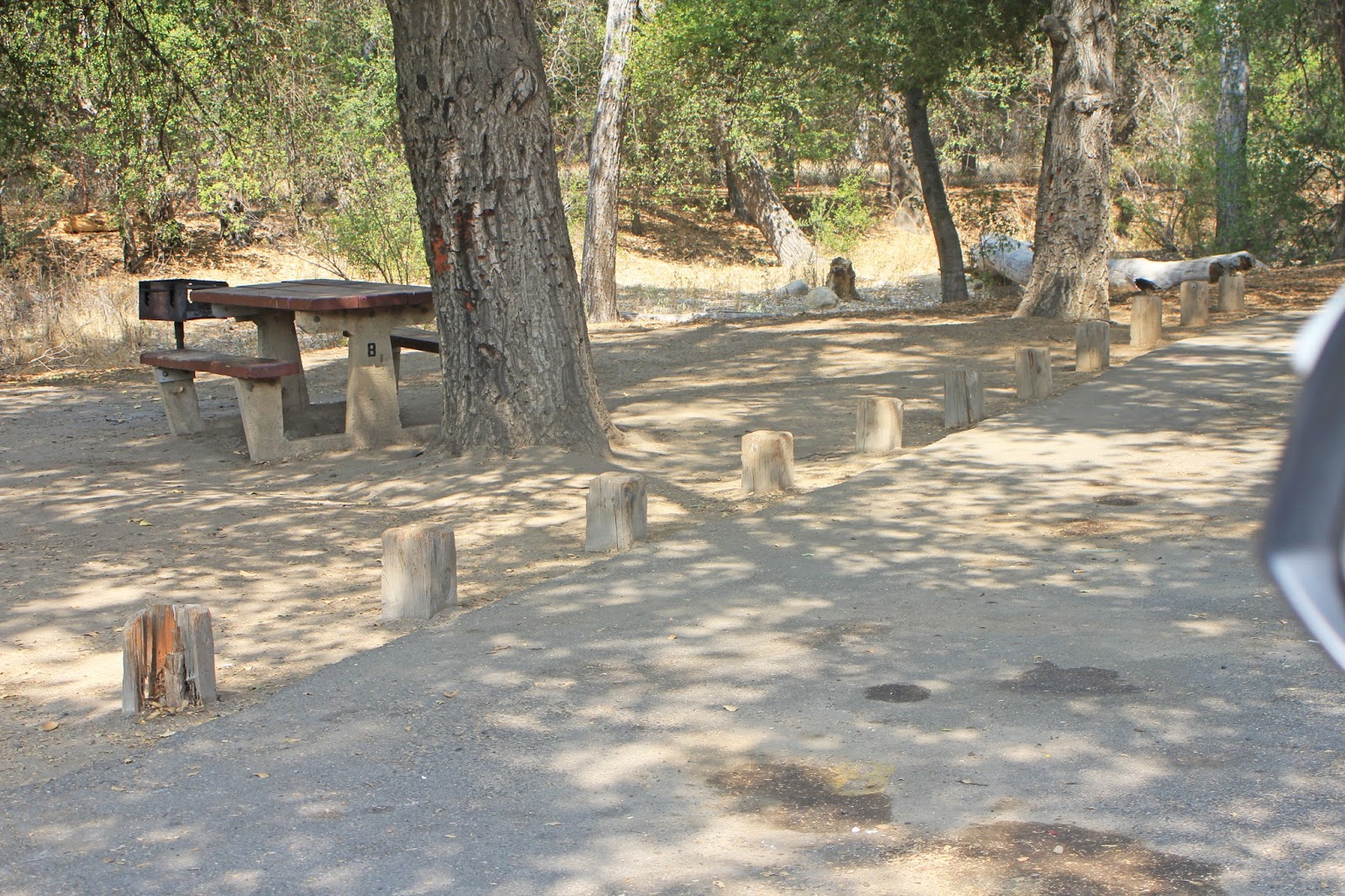 Western Sojourns: Travels with Camissonia: DRIPPING SPRINGS CAMPGROUND ...