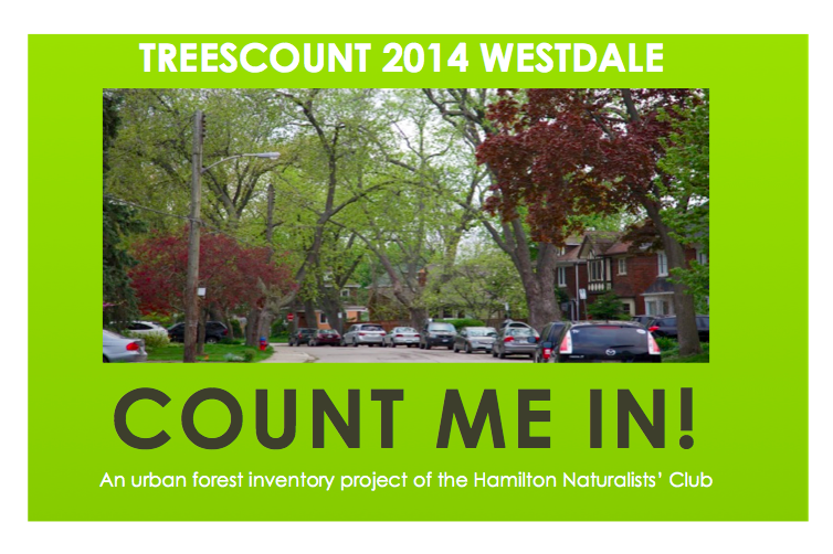 Trees Count 2014: How Does this Work, Exactly?