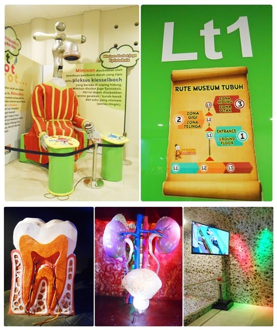 Belajar Anatomi Tubuh Manusia di Museum Tubuh
