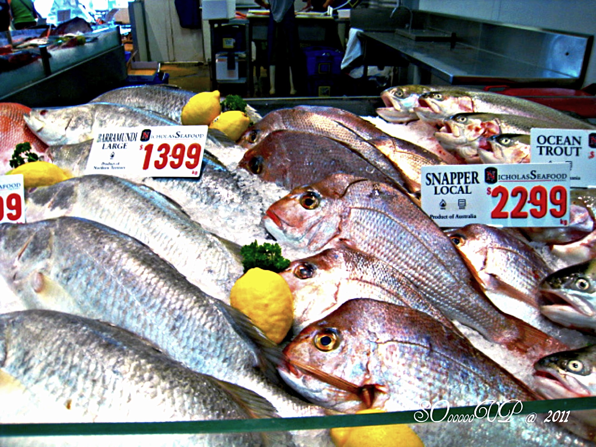 SOoooooUP: SYDNEY FISH MARKET (II)