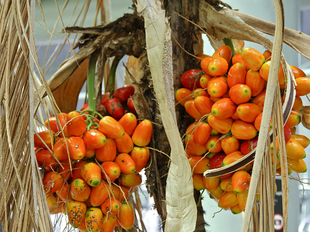 Fruit Warehouse: Peach palm ( Bactris gasipaes )