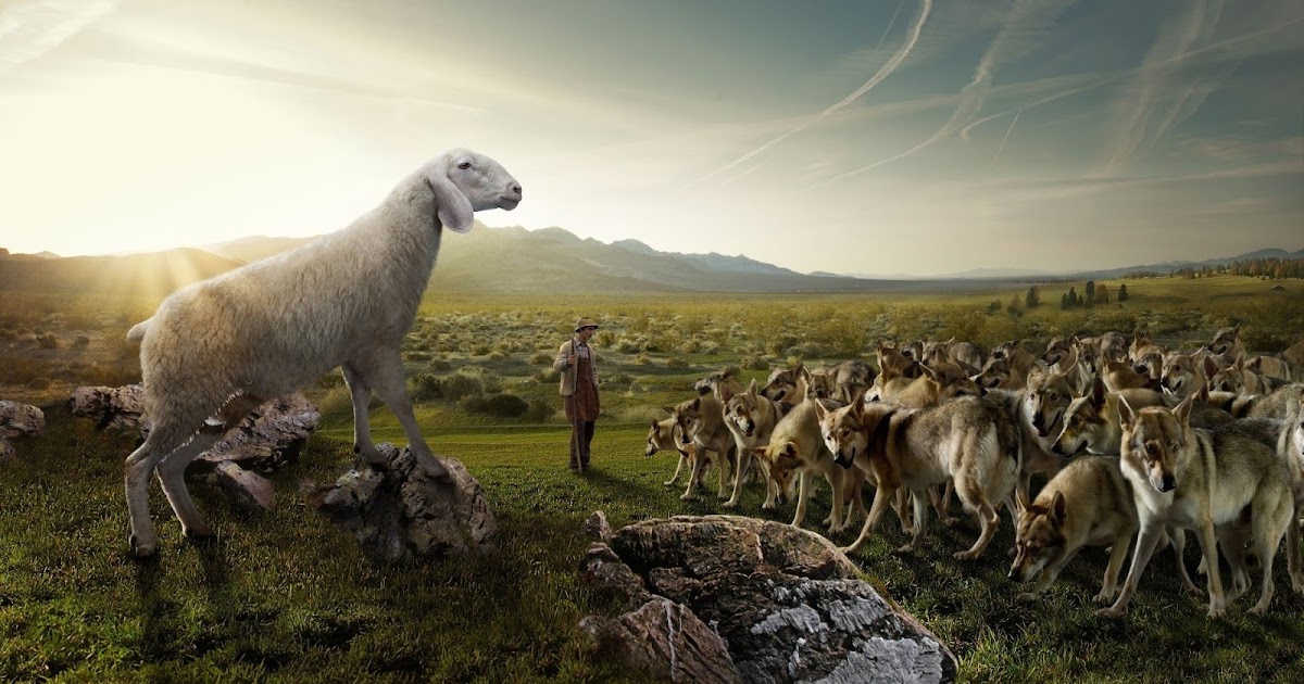 Pontifex Maximus: The Face of Jesus Christ: "Go your ways: behold, I ...