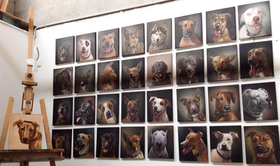 100 Brisbane Rescues Exhibition - June 9 to 11 | Australian Dog Lover