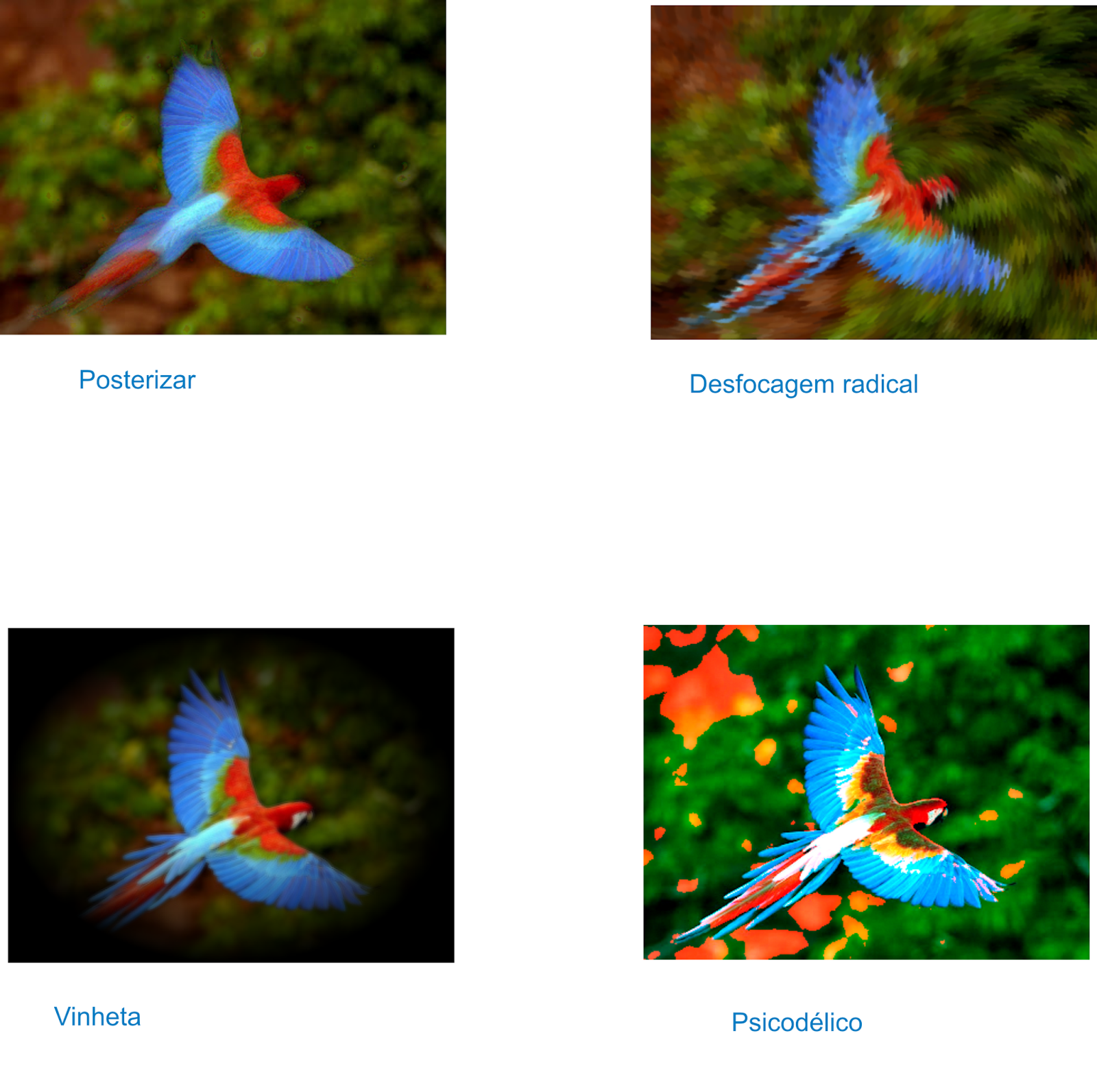 Aplicações Informáticas B: Aplicar efeitos em imagens bitmap