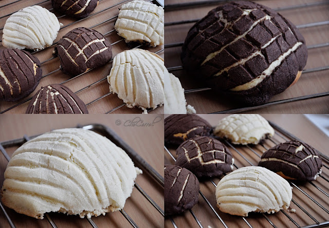 CoLoRes, SaBoRes, oLoRes...CoLoRs, TaSTeS, SmeLLS: mexican conchas ...