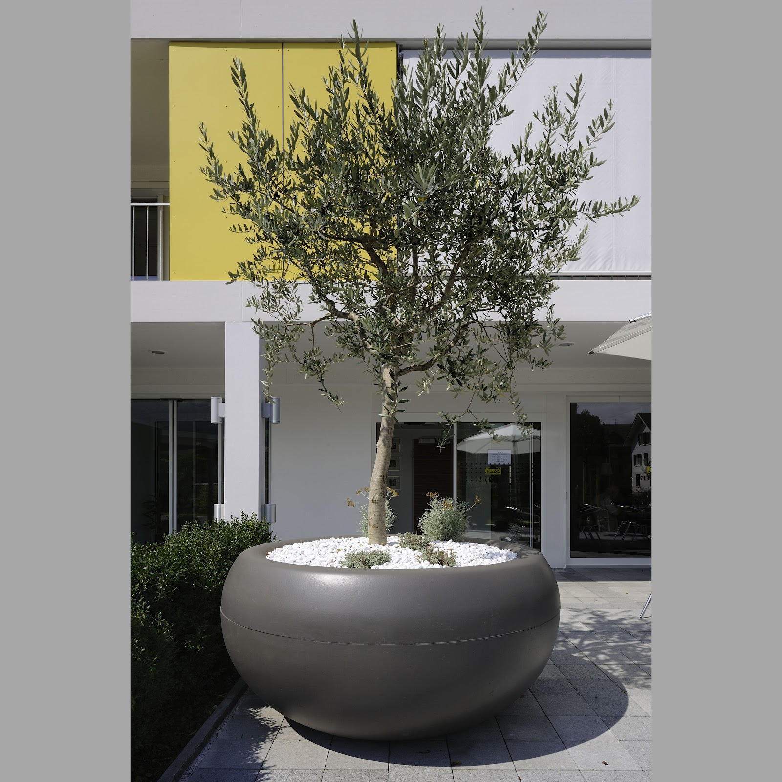 Design for the Garden