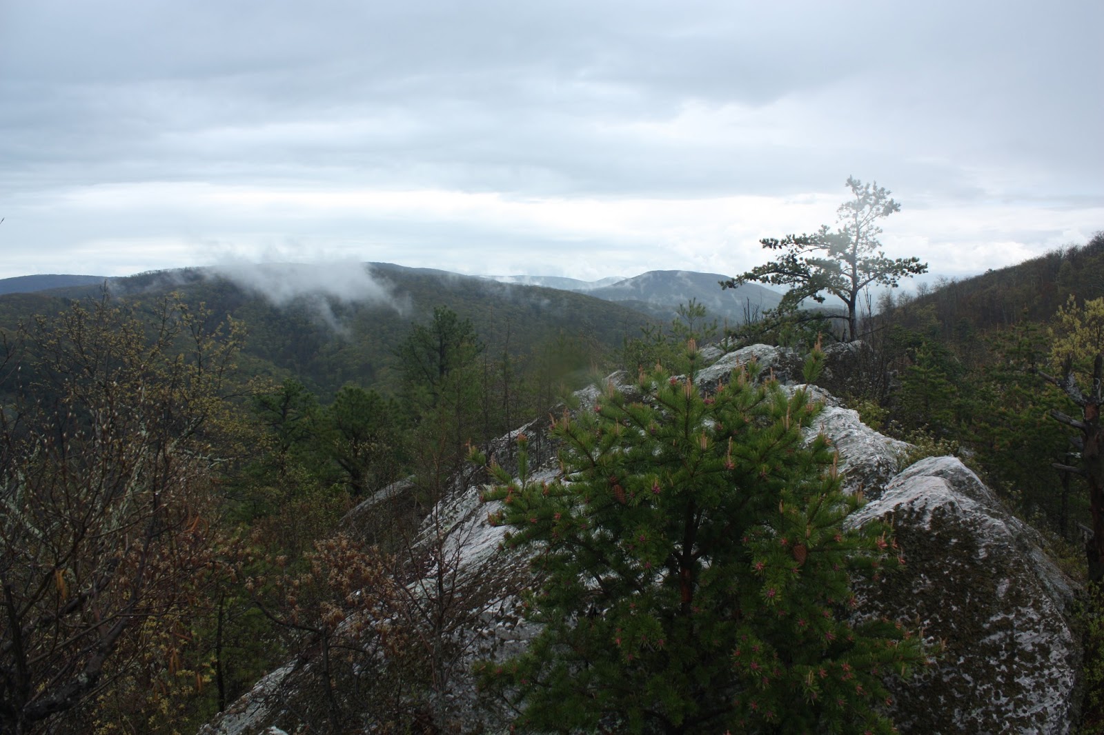 Hiking Shenandoah: Riprap Trail