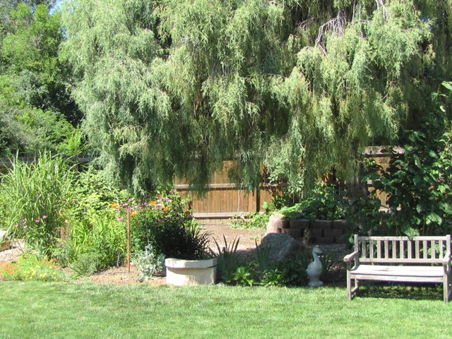 JeffCo Master Gardeners: 2011 Master Gardener Garden Tour: Home Grown ...