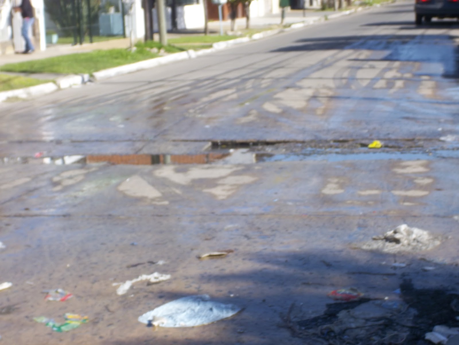 Roberto Gaudio: CALLES ROTAS EN BERNAL OESTE