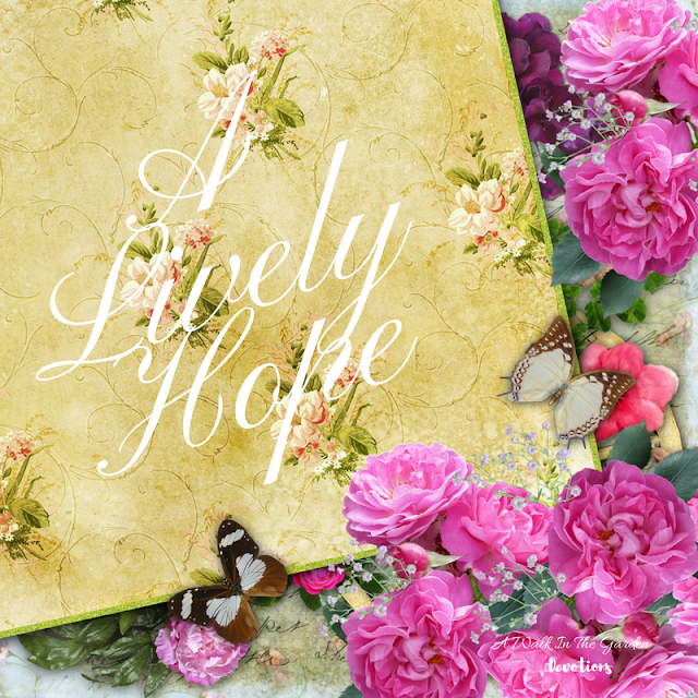 A Walk In The Garden: A Lively Hope