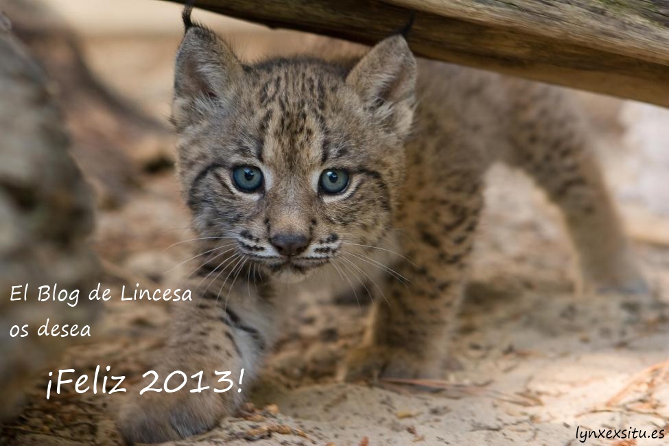 el blog de la lincesa: 2012