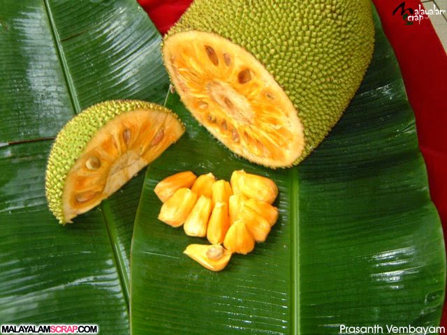 The Malayalee World
