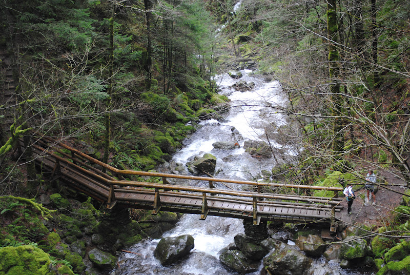 Black Watch Sasquatch: Rodney Falls & Little Beacon Rock - Columbia ...