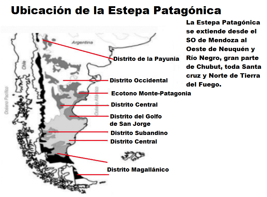 Tehuelches: Mapa de la Estepa Patagónica (Argentina)