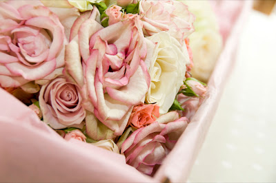 Flowers in Bloom: November 2011