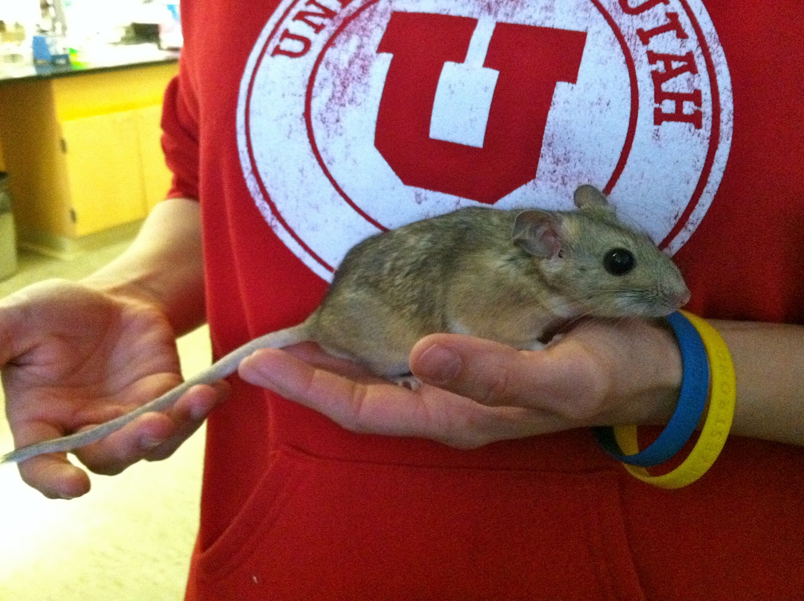 The Science Times: March 2012