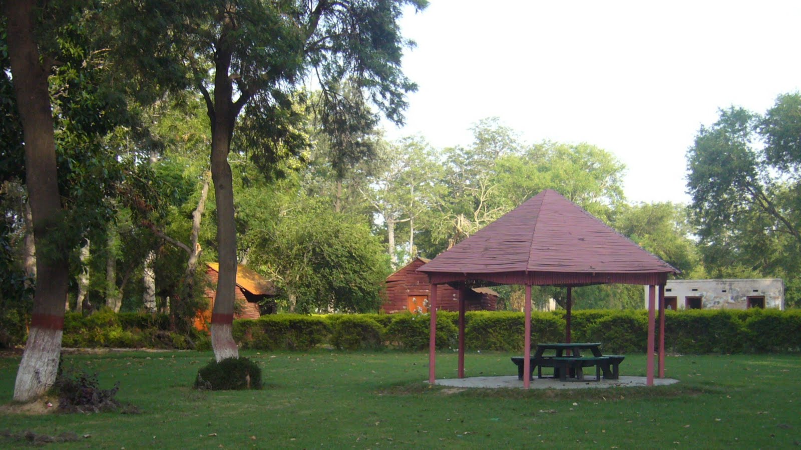 Exploring Changa Manga: Mehtabi Lake