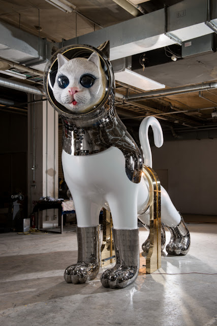 Stanley's pictures: A Ship’s Cat,