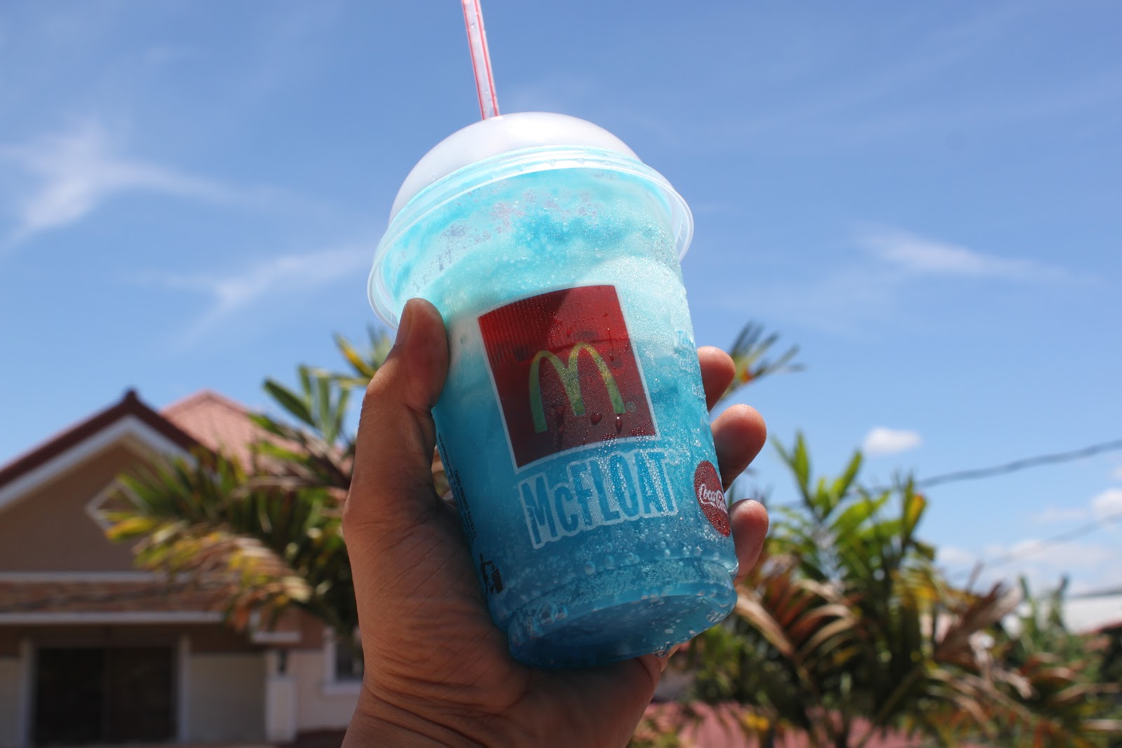 Choose Days With Mori