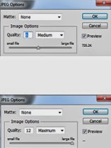 College IT : Discuss the impact that file format, compression techniques, image resolution and ...