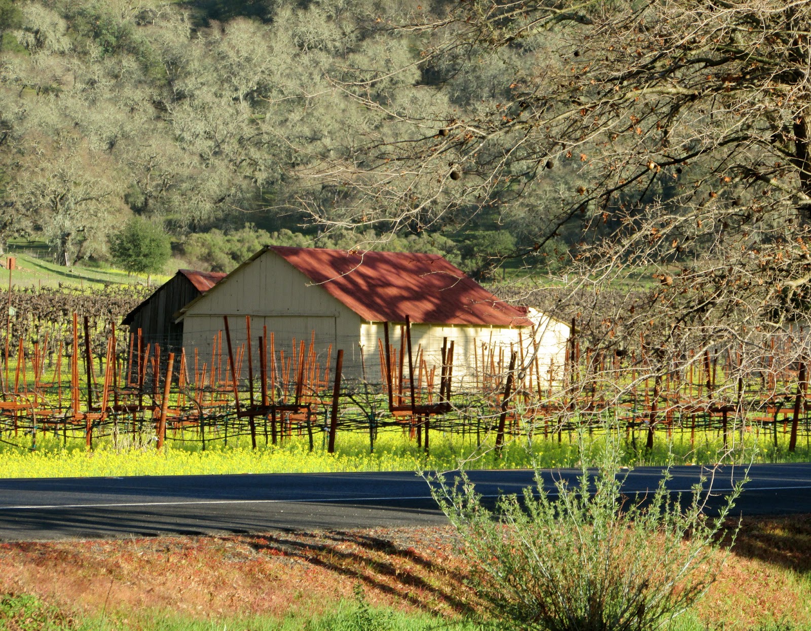 One Designing Woman: Napa Style