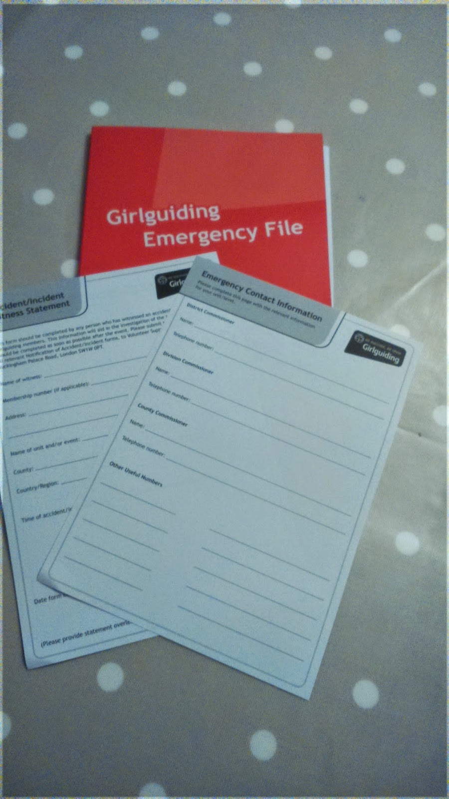A Girl Guiders' Trainers Blog: Girlguiding Emergency File