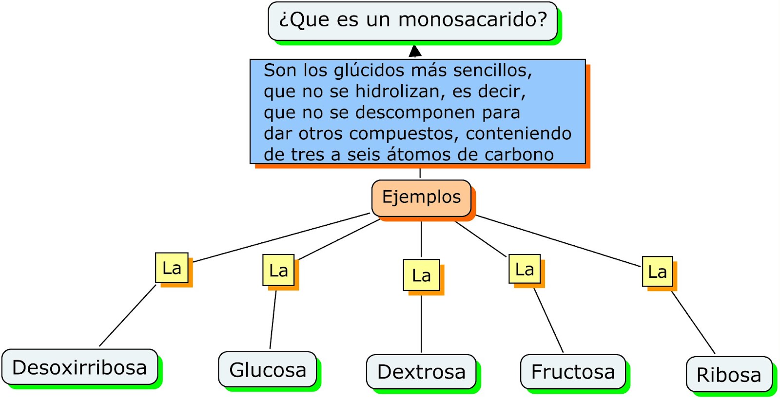 Mundo Natural de las Ciencias: Los Monosacaridos