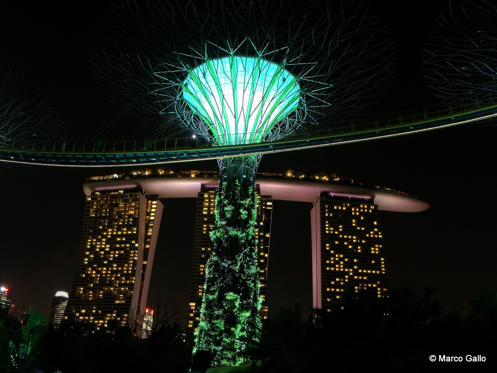 Vivir viajando: BOSQUE ARTIFICIAL. SINGAPUR