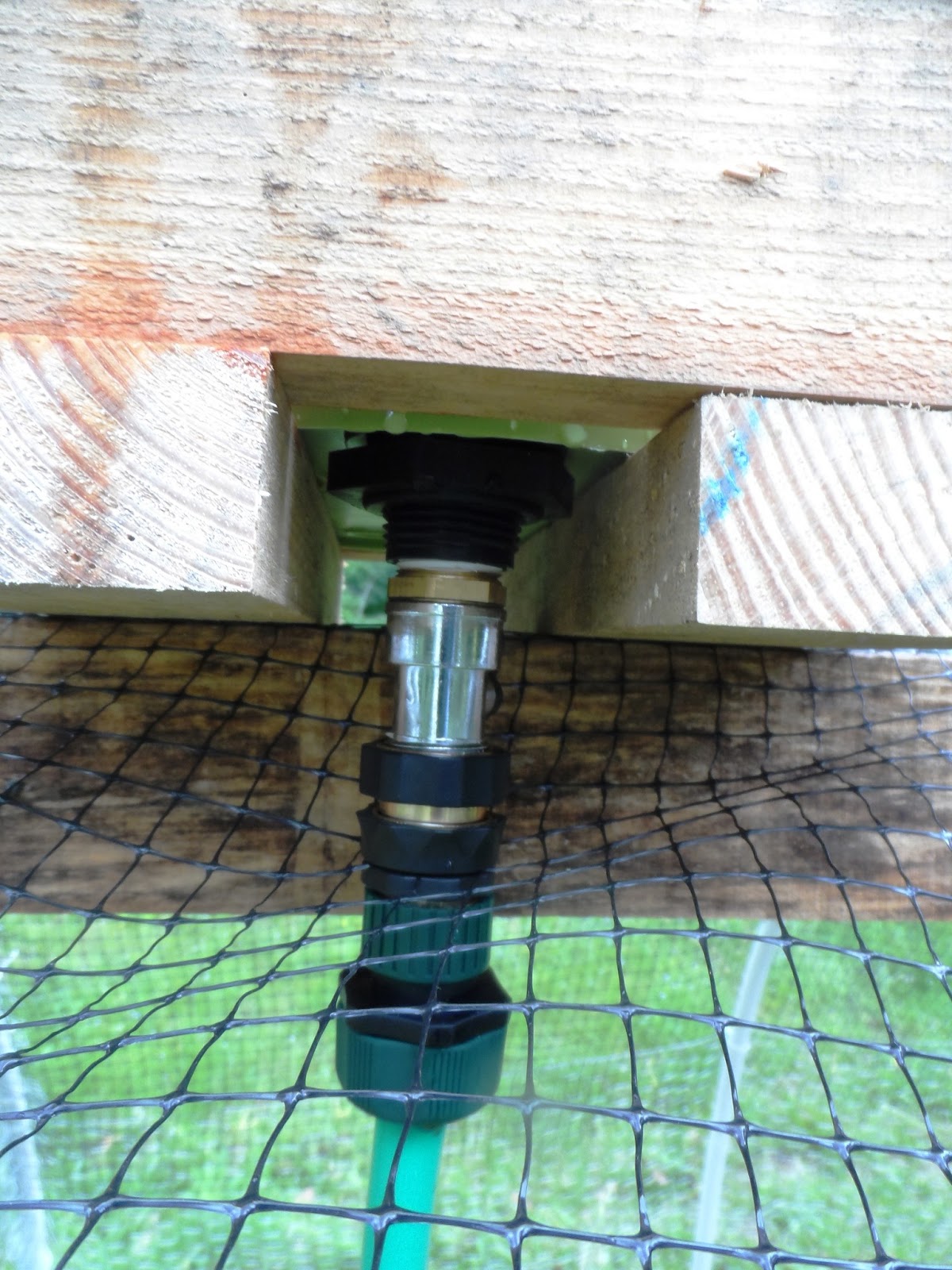 Sunflower Hill Homestead: PVC Hoop Chicken Tractors