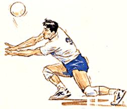 OMAR MAZO Educación física, Recreación y deportes: POSICIONES BÁSICAS ...