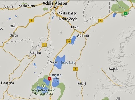 Birding for a Lark: To Awash National Park, Ethiopia