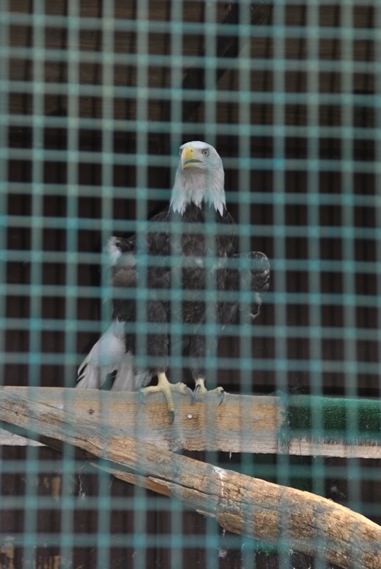 Southeastern PA Hiking: Horse-Shoe Trail - Great Valley Nature Center ...