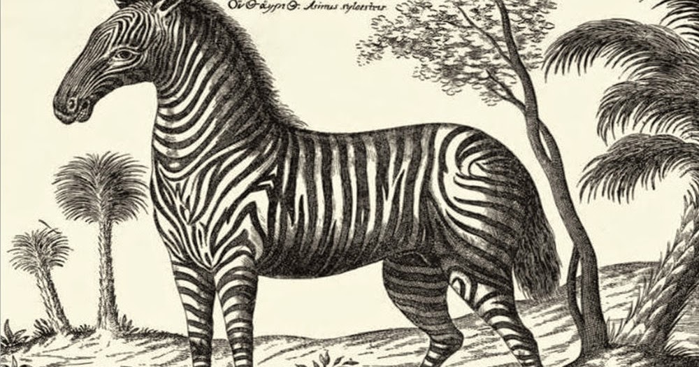 Criptozoología en España: Biblioteca Criptozoológica: “Disertación ...