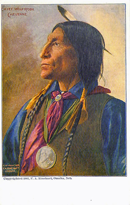 John's Island: Chief Wolf Robe -- Cheyenne Native American