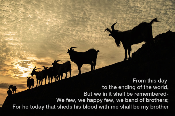 House: Dead Goats | Threadless