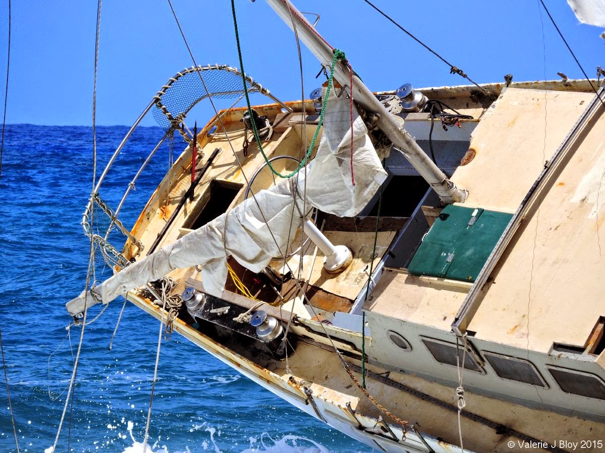 A shell in my pocket and waves at my feet...: more from Gilligan's ...