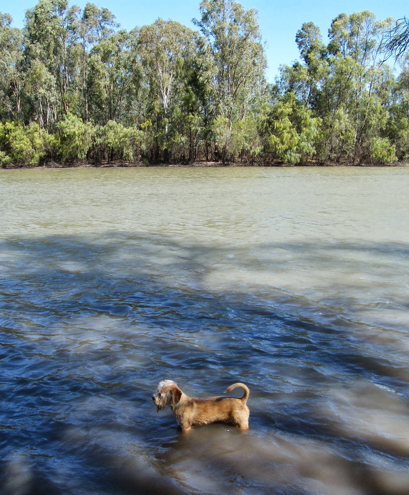 BJ and Noelle Travel Oz : Glebe Weir - Chinchilla Weir - Millmerran ...