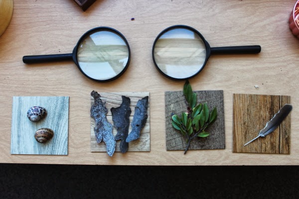 scrumdilly-do!: the nature and science table