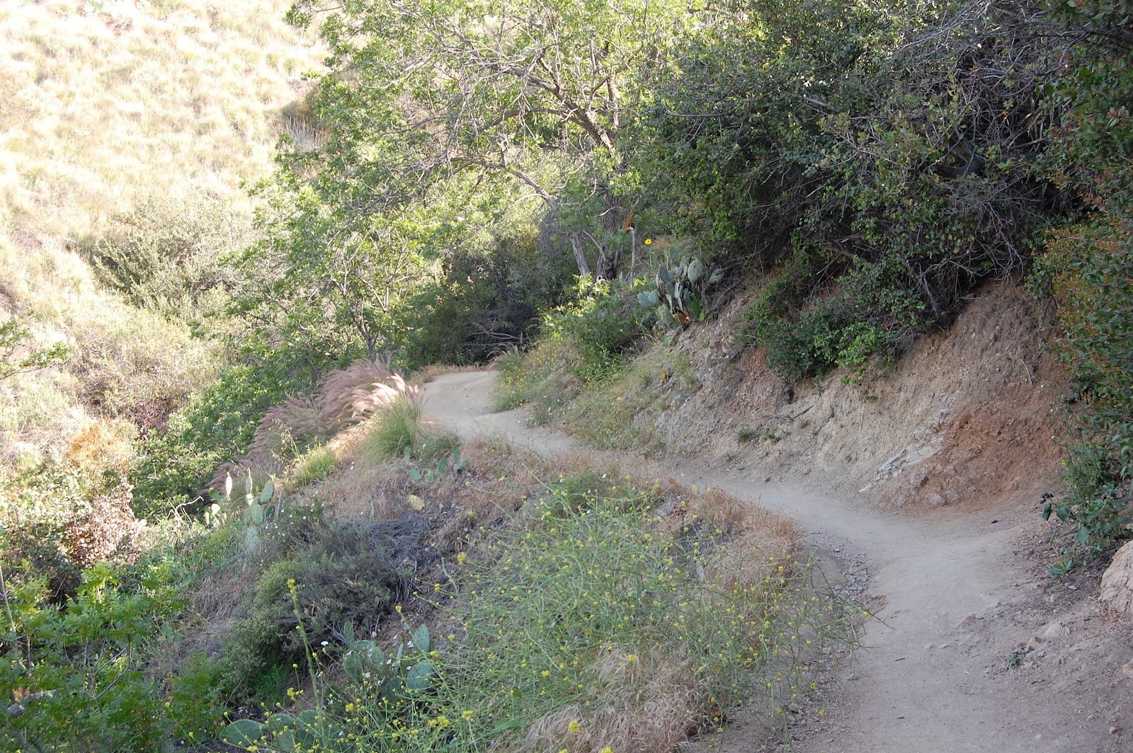 Hiking Azusa Peak/Glendale Peak | East West Hike