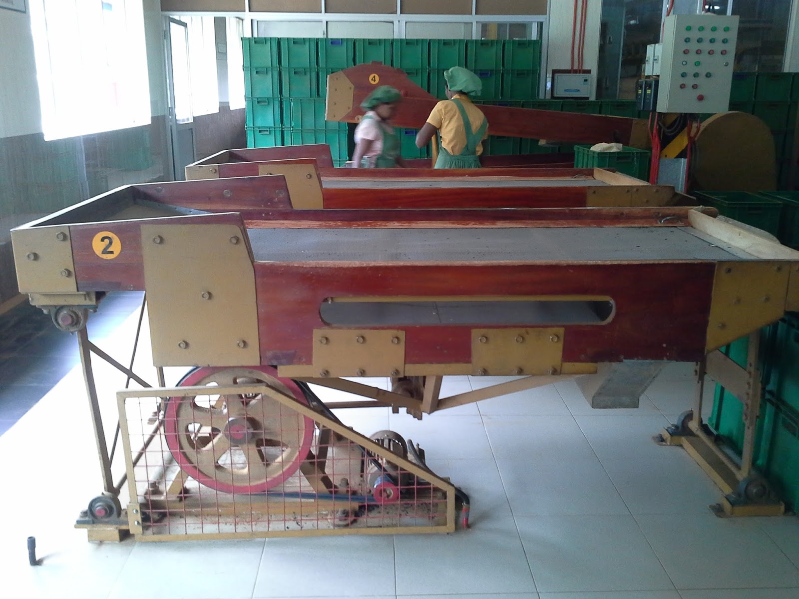 Orthodox Black Tea Manufacturing Process ~ Tea Quality Center