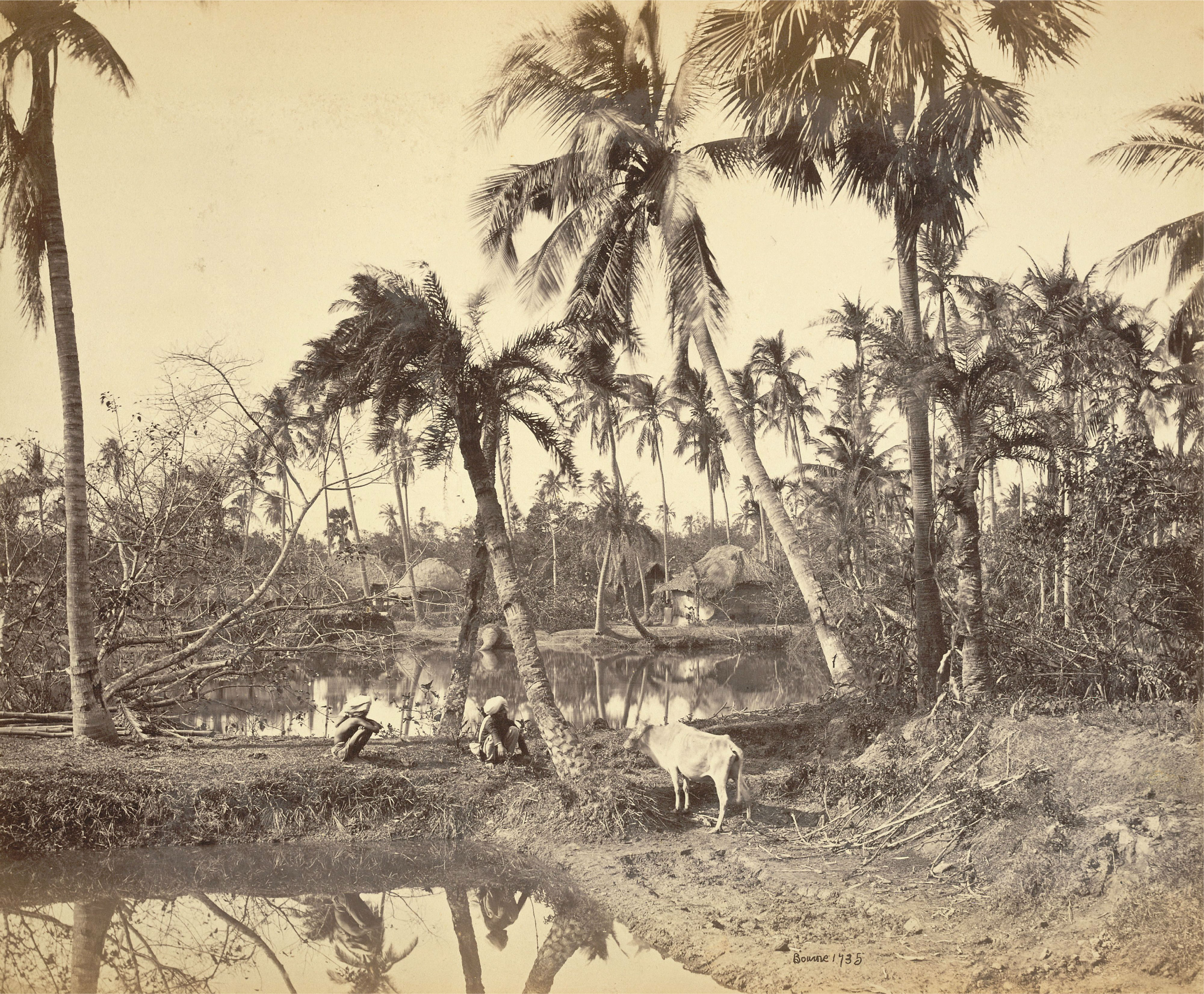 Village in Rural Bengal - 1865 - Old Indian Photos