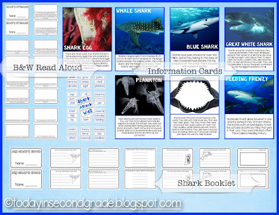 Shark Attack! - Today in Second Grade