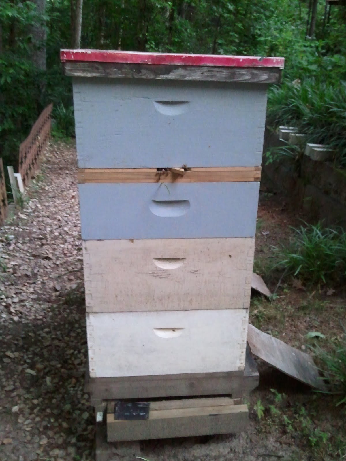 Mark's Farm Tochok: Double Screen Board