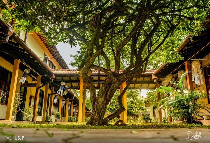 A Free Soul Talks: Memories at Japura (Sri Jayawardenapura University)