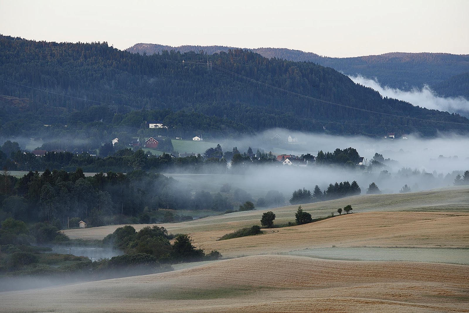 Skaumann: Kulturlandskap i Øvre Eiker mai-august 2012!