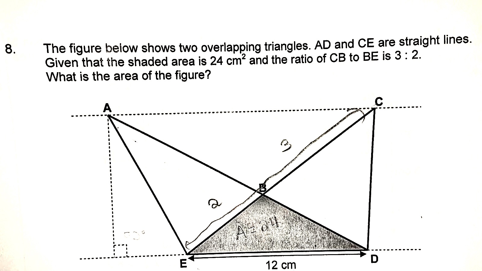 Chang's Math blog: P5 / P6 area of triangles (fr tristen)
