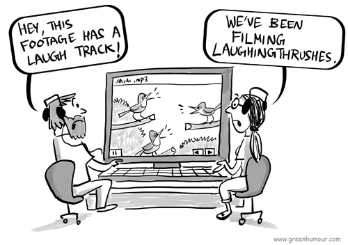 Green Humour: Cartoons on Wildlife Photography for Dusty Foot Productions